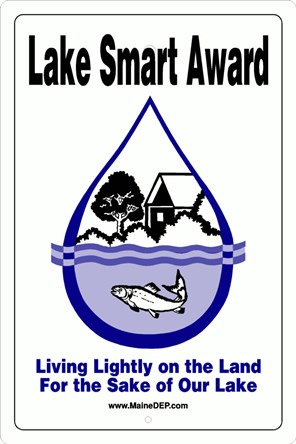 Projects – Mcgrath Pond – Salmon Lake Assocation